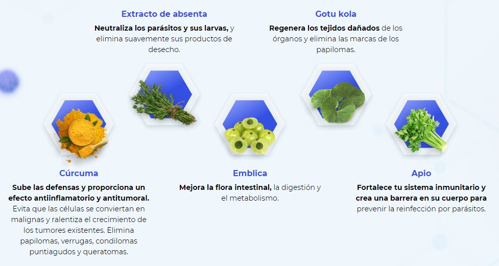 ¿La Toxic OFF es un buen producto? ¿Cuanto cuesta? ¿Dónde comprar la ...